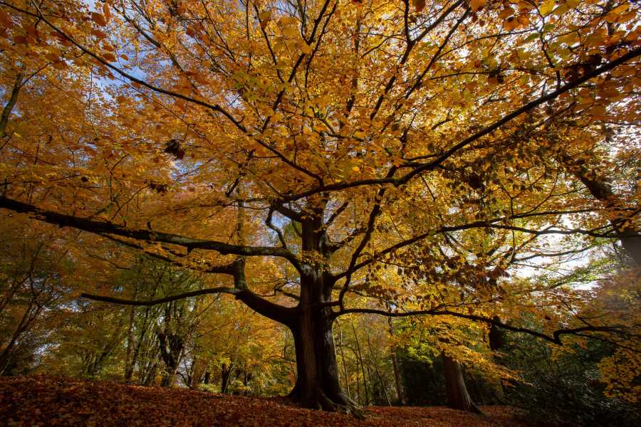 Best Time to Visit Great Britain: Seasons To Visit & Tips For Travelling