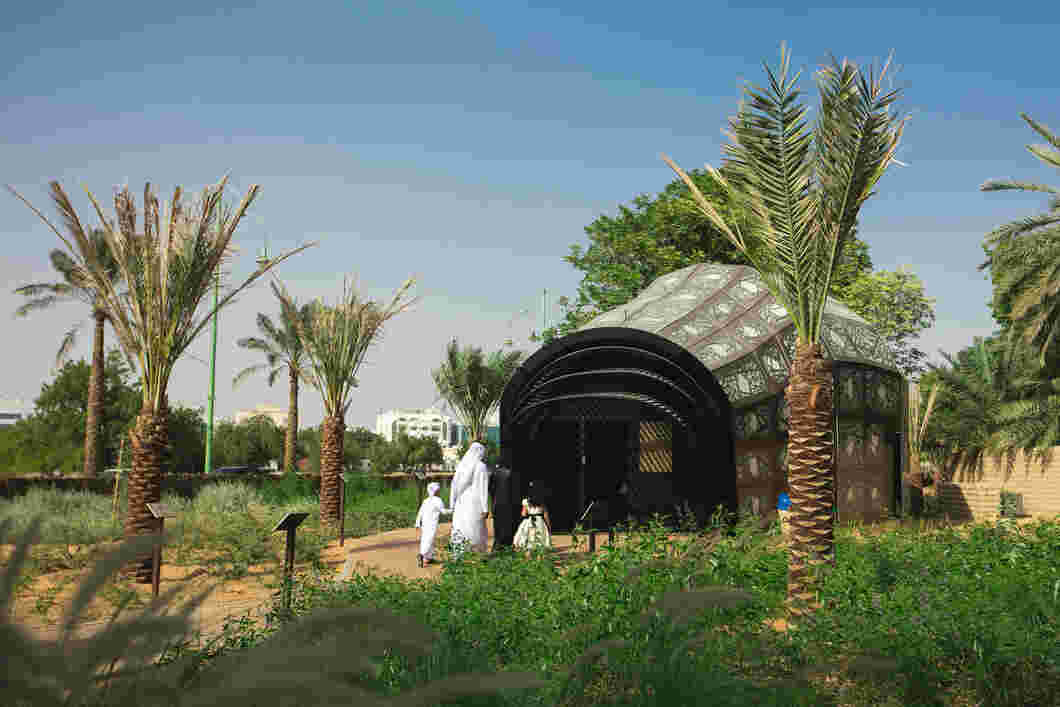 Best Time To Visit UAE: Seasons To Visit & Tips For Travelling