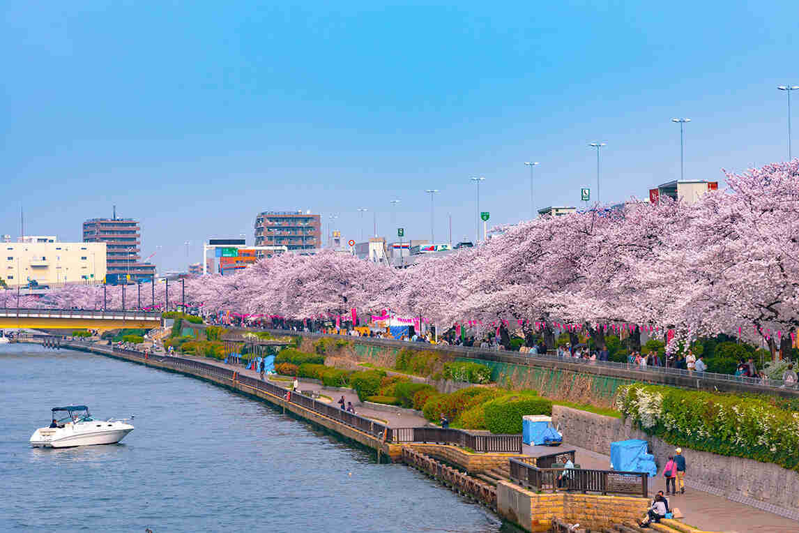 31 Tourist Places in Japan: Most Beautiful Places & Tourist Attractions ...