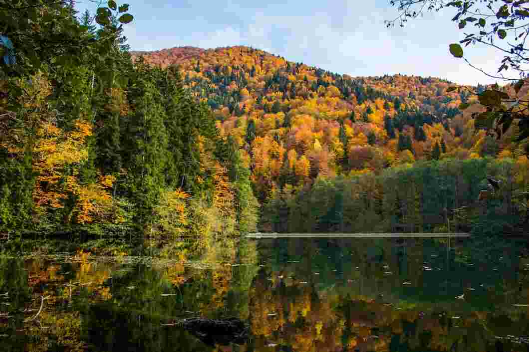 Best Time to visit Georgia: Seasons To Visit & Tips For Travelling