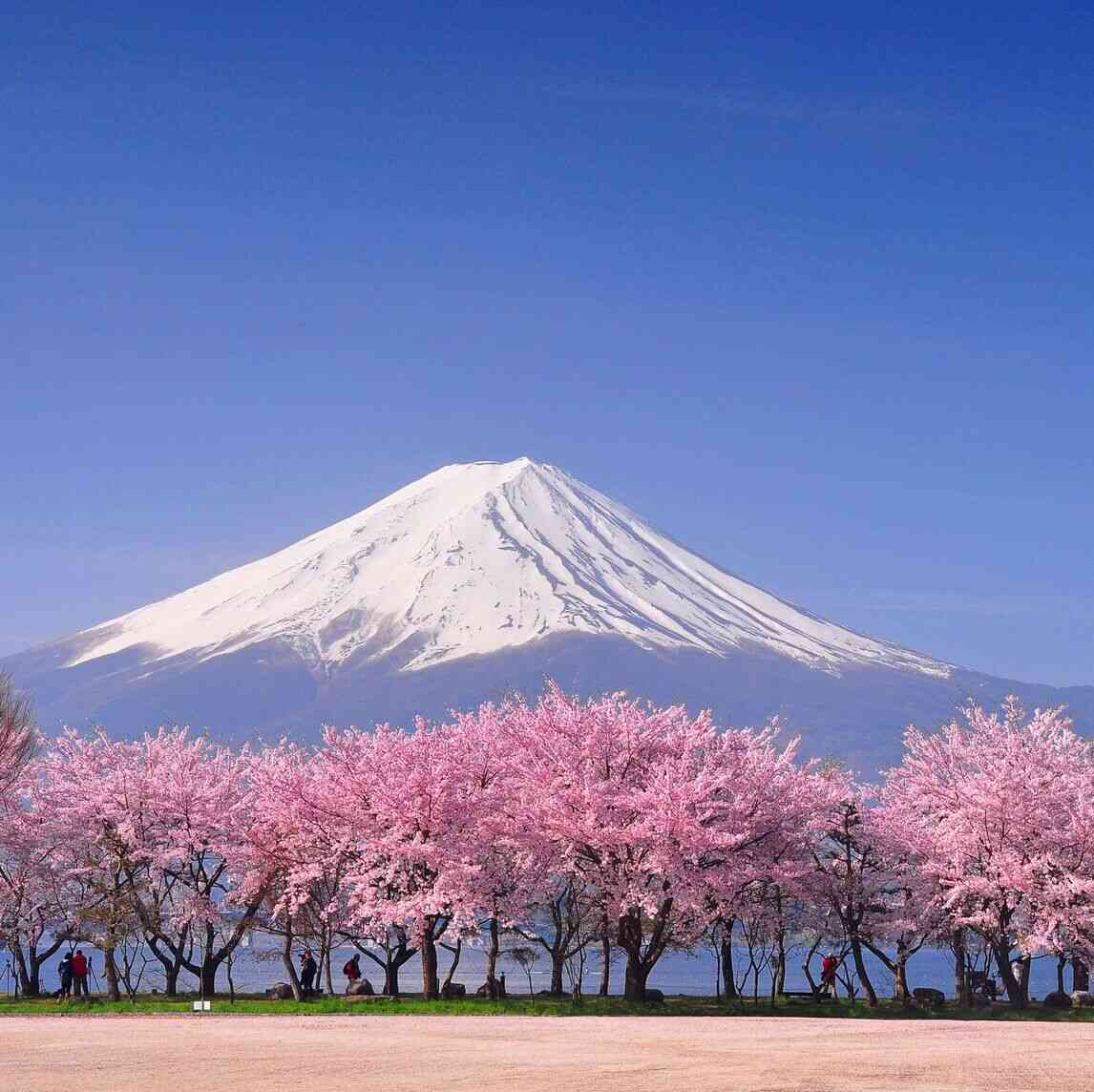 What is Japan Famous for?- Places to Visit in Japan & Things to Do