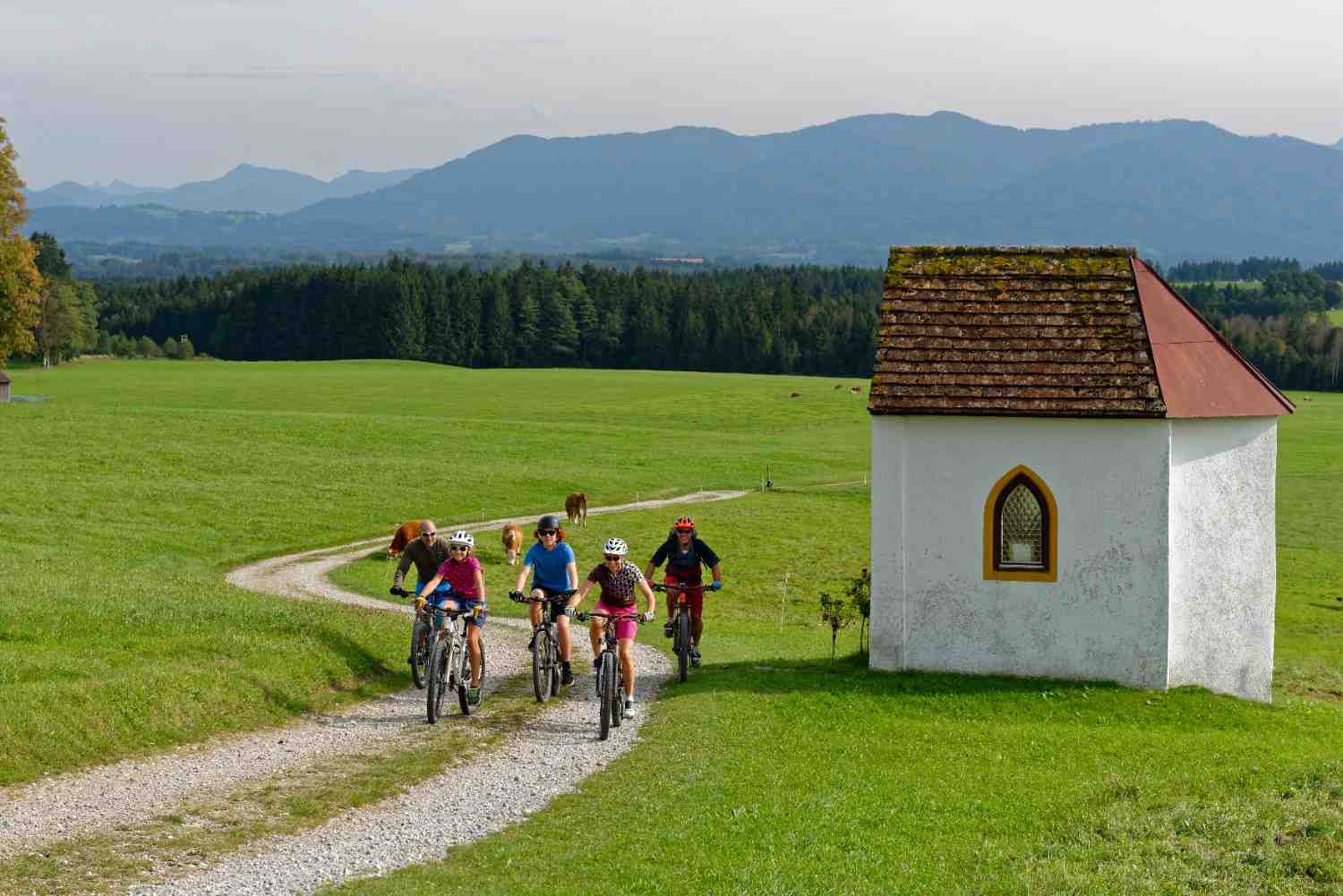 Cycling Tours & Destinations in Germany: Routes, Distance & Best Time