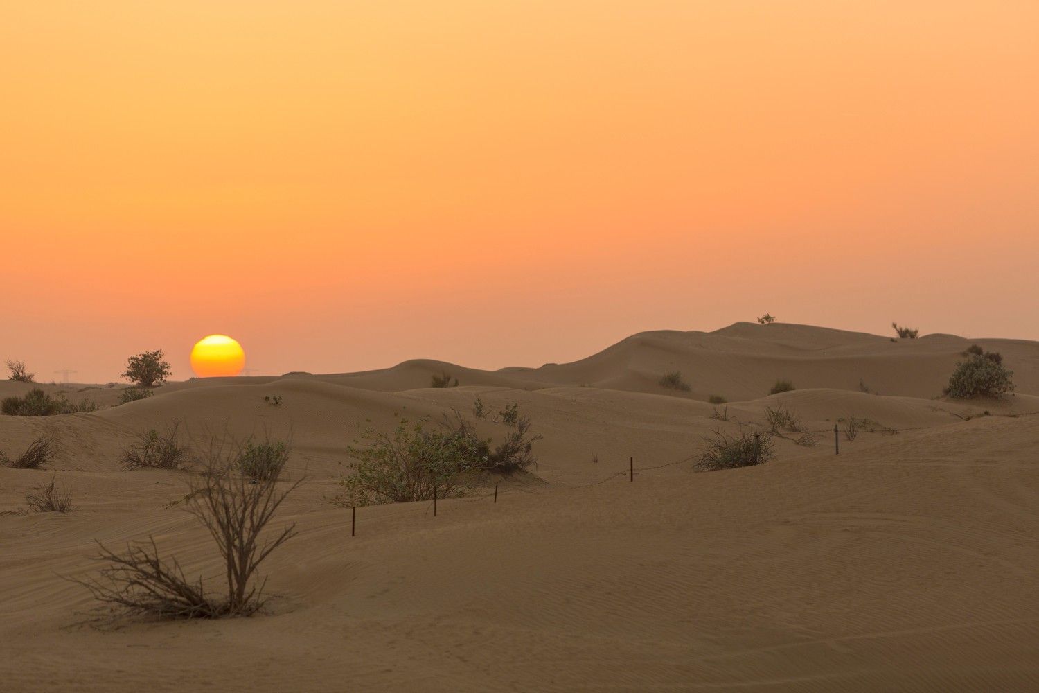 Top 23 Places to Visit In UAE: Top Sights, Theme Parks, Beaches ...