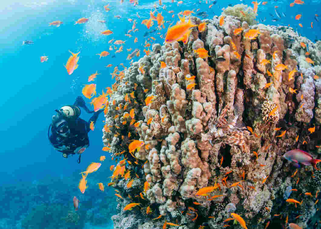 Jordan Places To Visit: Tips For Travelling & Seasons To Visit