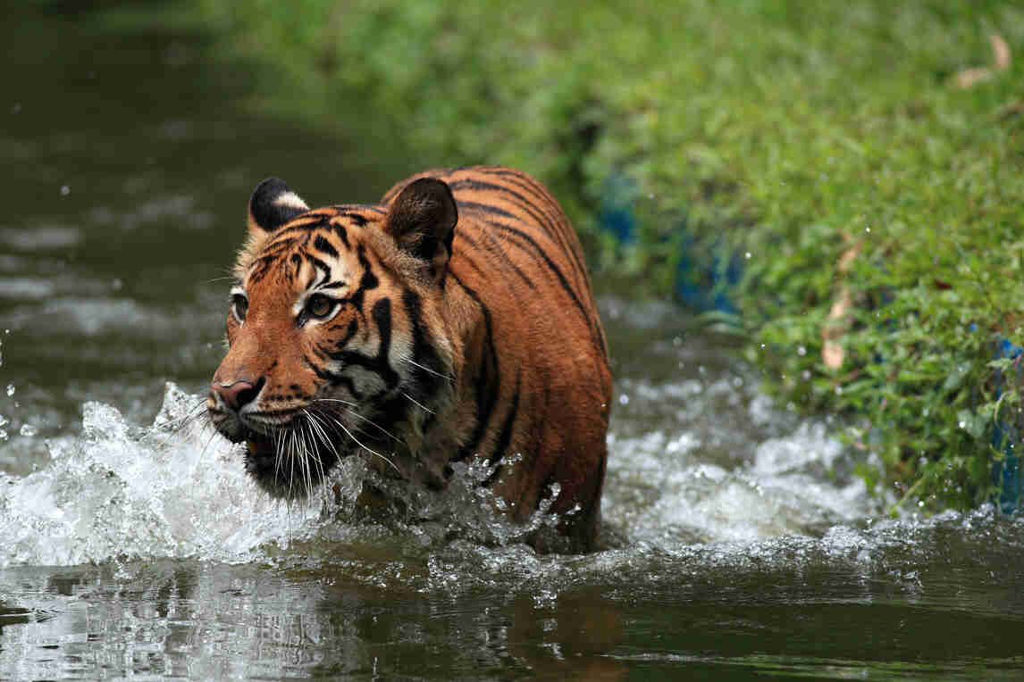 Best Time To Visit Malaysia: Seasons To Visit & Tips For Travelling