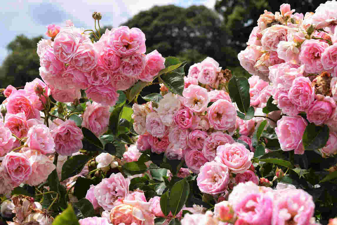 Best Time To Visit England: Seasons To Visit & Tips For Travelling