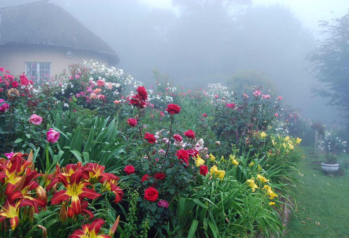 Best Time To Visit South Africa: Seasons To Visit & Tips For Travelling