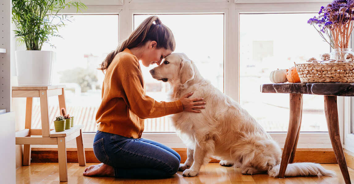 Important Health Benefits Of Dogs For Human Health