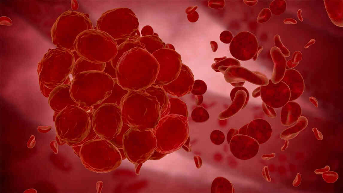 How to Increase RBC Count: Supplements & Foods to Increase RBC