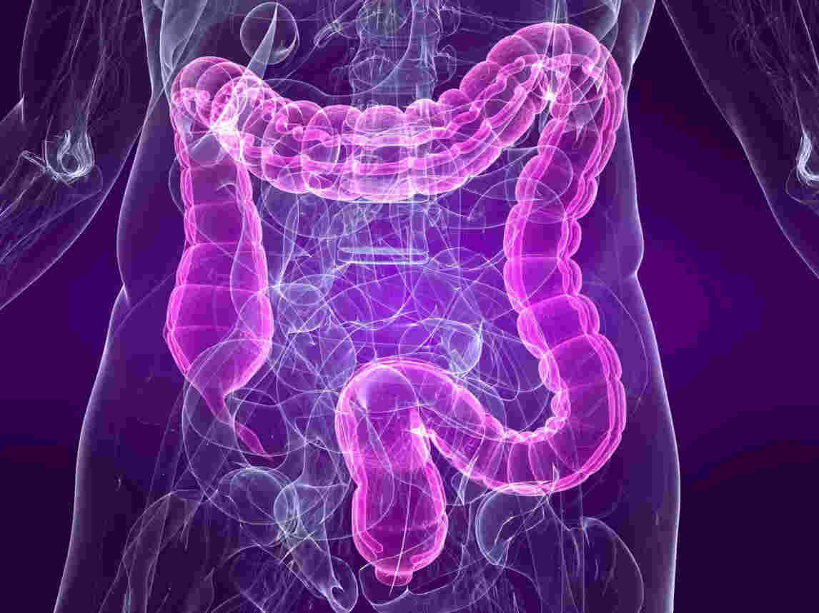The Top 9 Proven Tips on How to Keep Colon Healthy