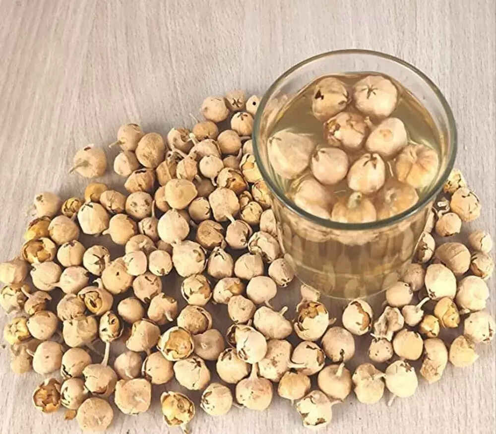 Health Benefits Of Paneer Doda: A Time-Tested Ayurvedic Remedy
