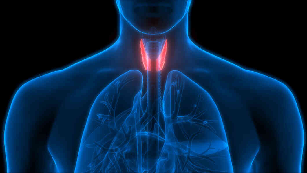 Hypoparathyroidism Symptoms Causes Treatment And Prevention