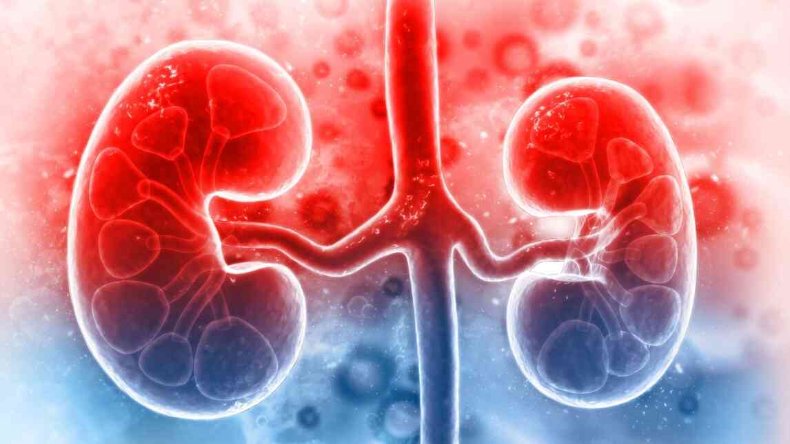 Kidney Diseases List Of Kidney Diseases Causes Symptoms Treatments kidney-diseases-list-of-kidney-diseases-causes-symptoms-treatments
