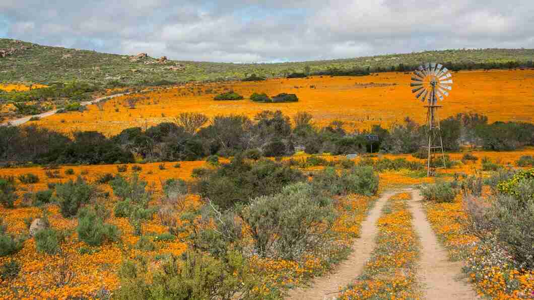 Best Time To Visit South Africa: Seasons To Visit & Tips For Travelling