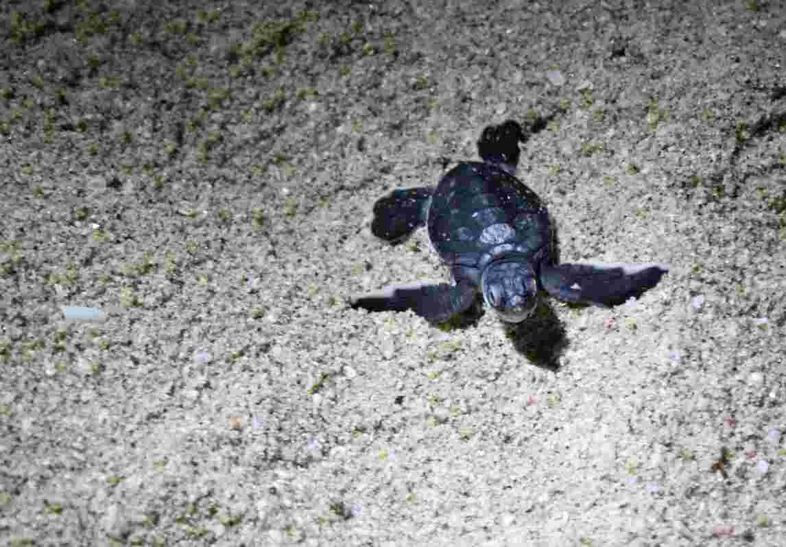 Best Time To Visit Oman: Seasons To Visit & Tips For Travelling