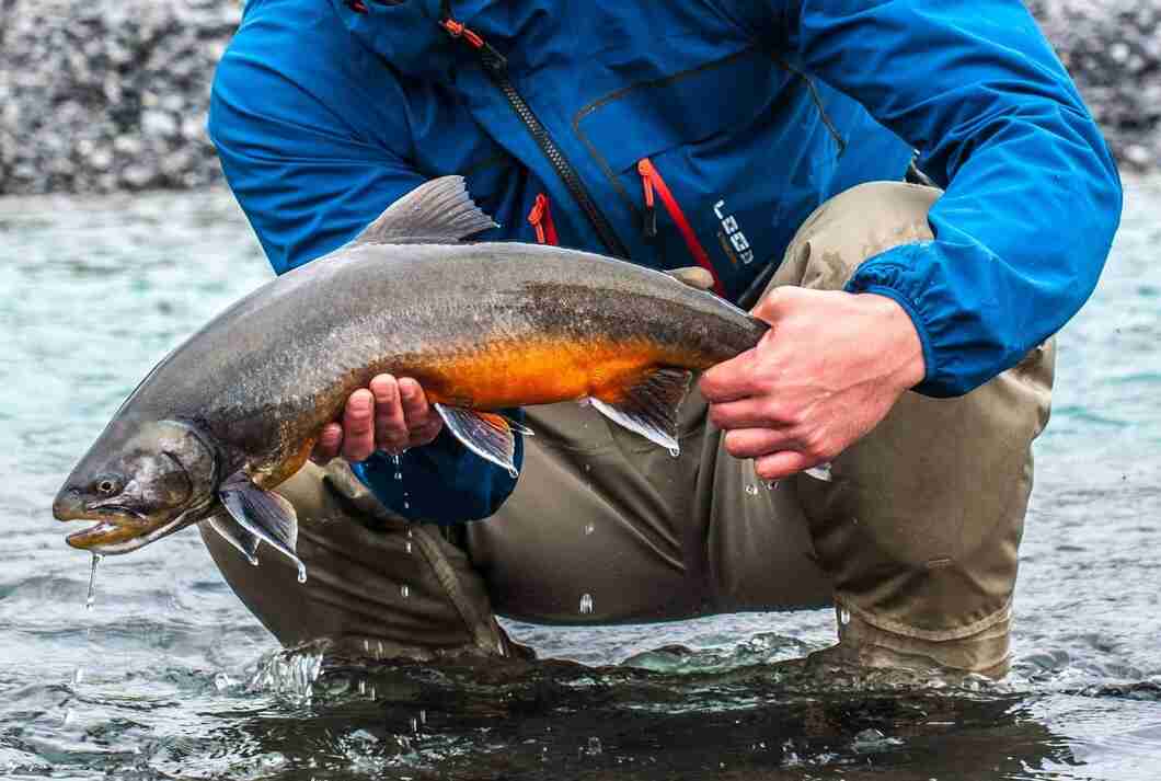 Best Time To Visit Iceland: Seasons To Visit & Tips For Travelling