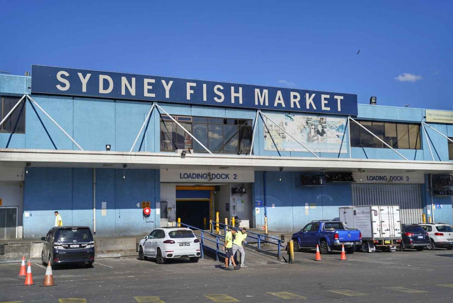 31 Tourist Places in Sydney: Famous Places & Tourist Attractions