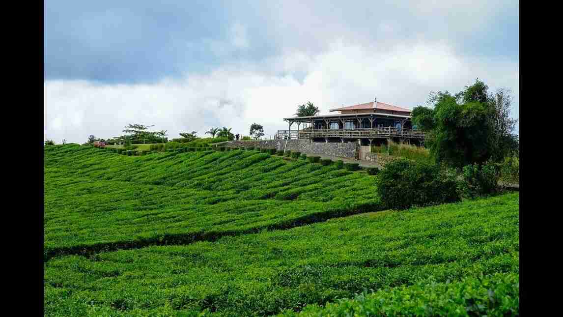 Best Time to Visit Mauritius: Seasons To Visit & Tips For Travelling