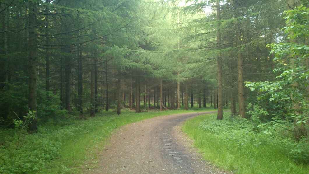 Denmark Tourist Places: Seasons To Visit & Tips For Travelling