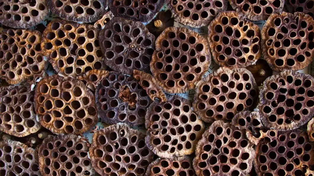What Is Trypophobia And How It Can Affect Your Mental Health