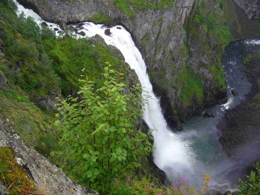 Best Time To Visit Norway: Seasons To Visit & Tips For Travelling