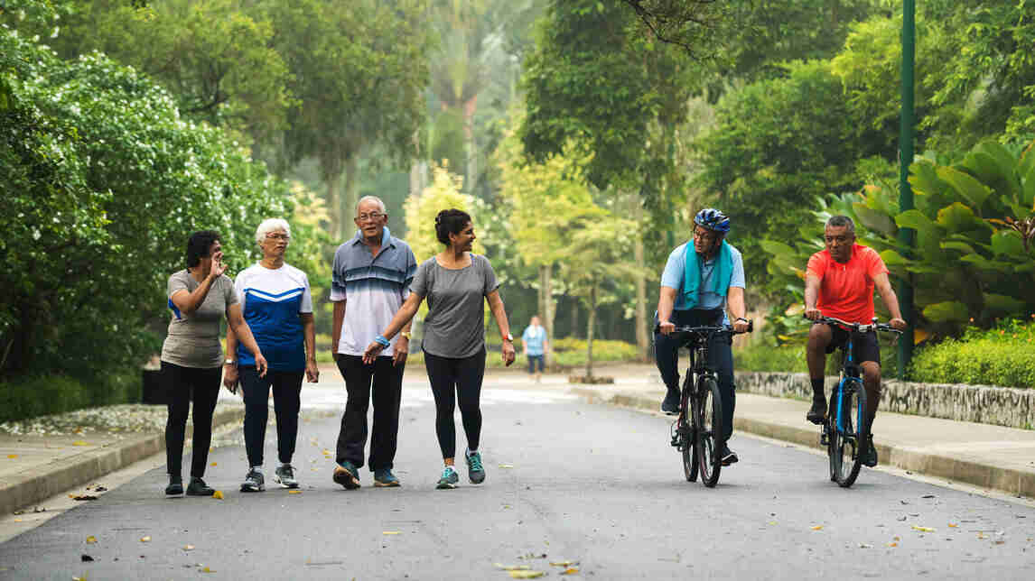 Cycling Vs Walking: Which One Will be a Better Workout? Cycling Vs Walking: Which One Will be a Better Workout?