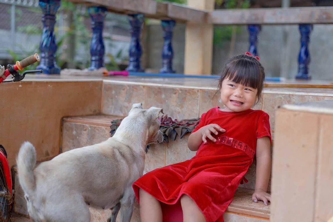 Zoophobia (Phobia Of Animals): Causes, Symptoms and Treatments