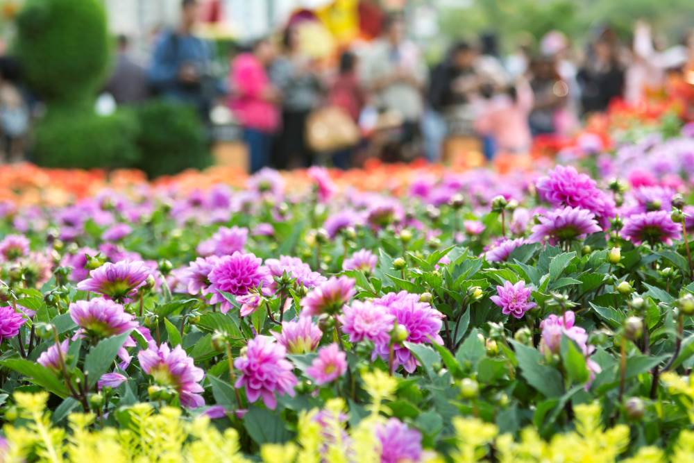 Best Time to Visit Hong Kong: Seasons To Visit & Tips For Travelling