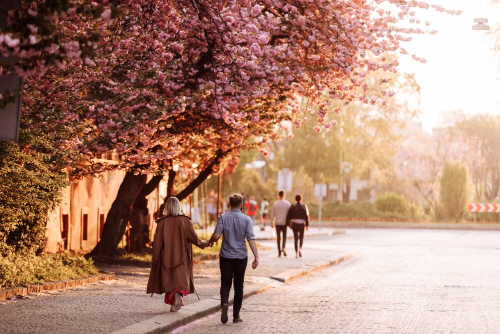 Best Time to Visit Germany: Seasons To Visit & Tips For Travelling