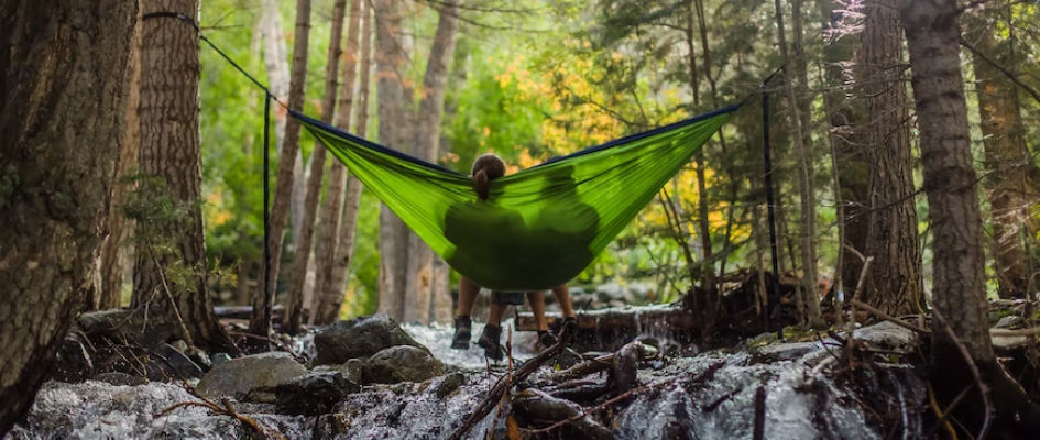 Sustainable Tourism: Why and How to Travel Sustainably