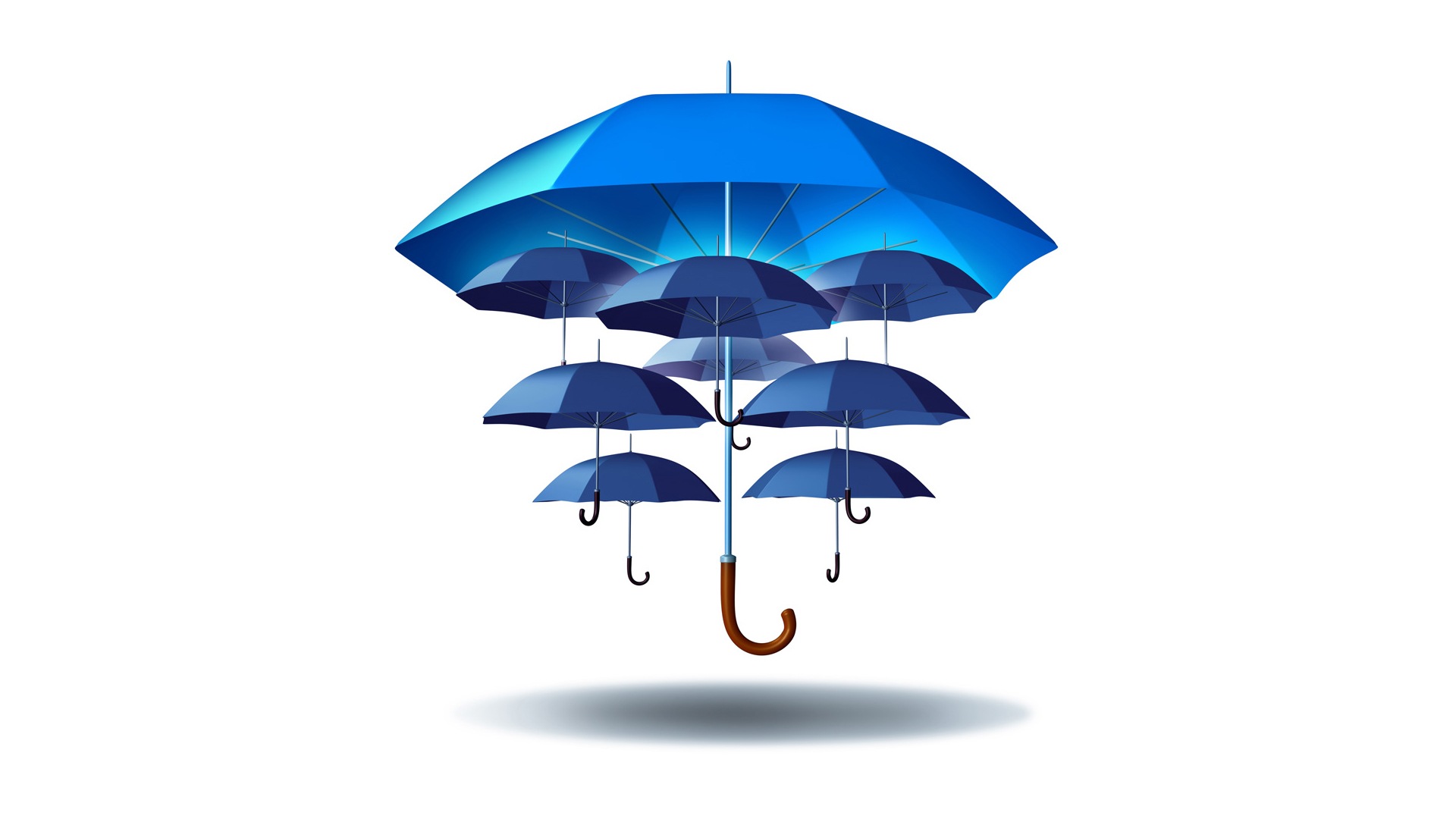 Know The Difference Between Reinsurance And Coinsurance